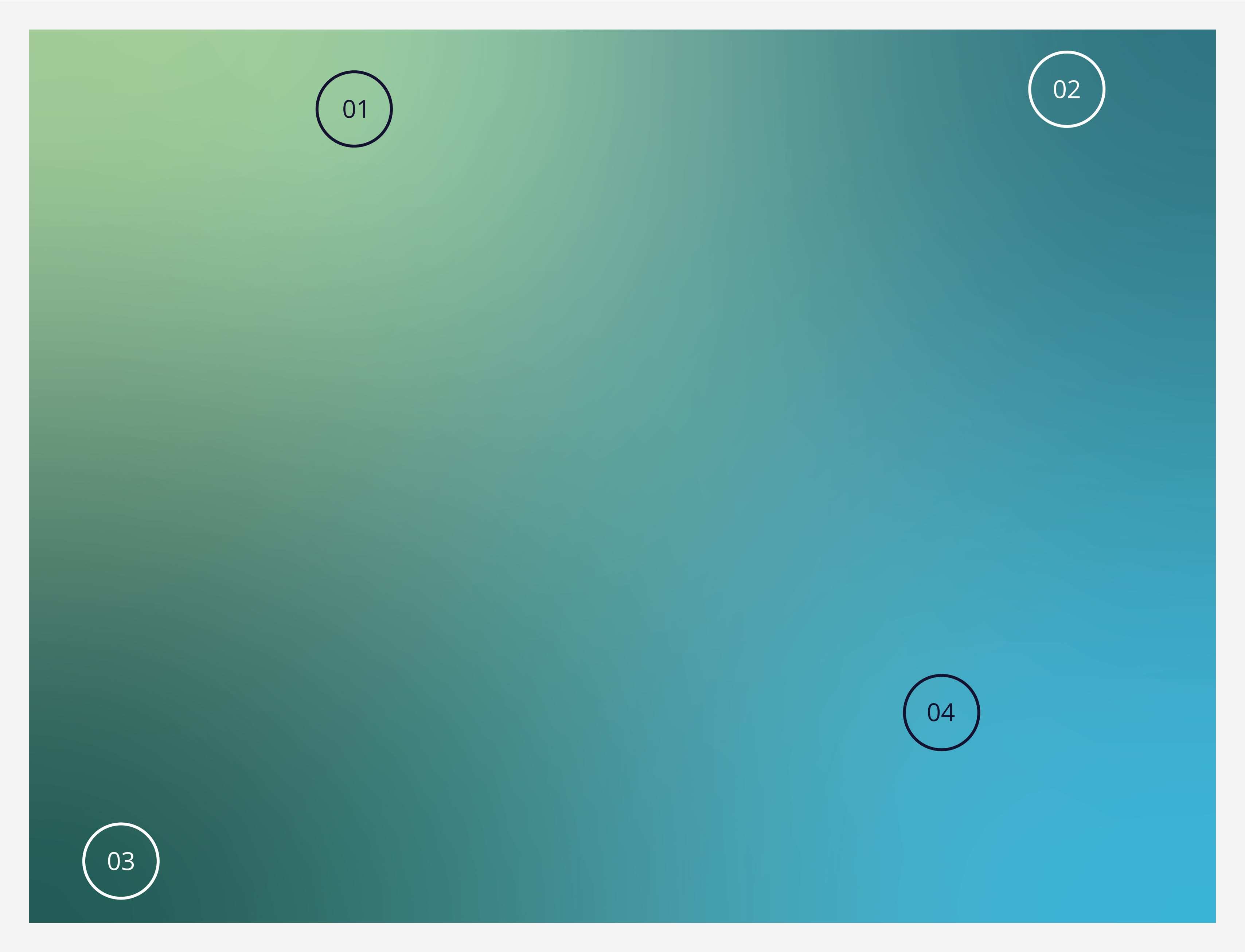 Transpoco Rebrand & HubSpot Website | Blend