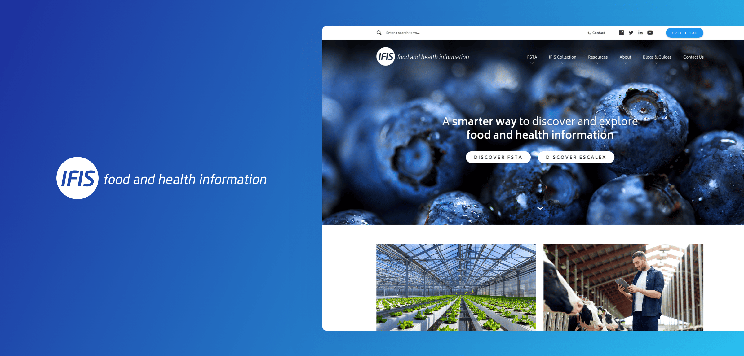 IFIS | Inbound Marketing Case Study