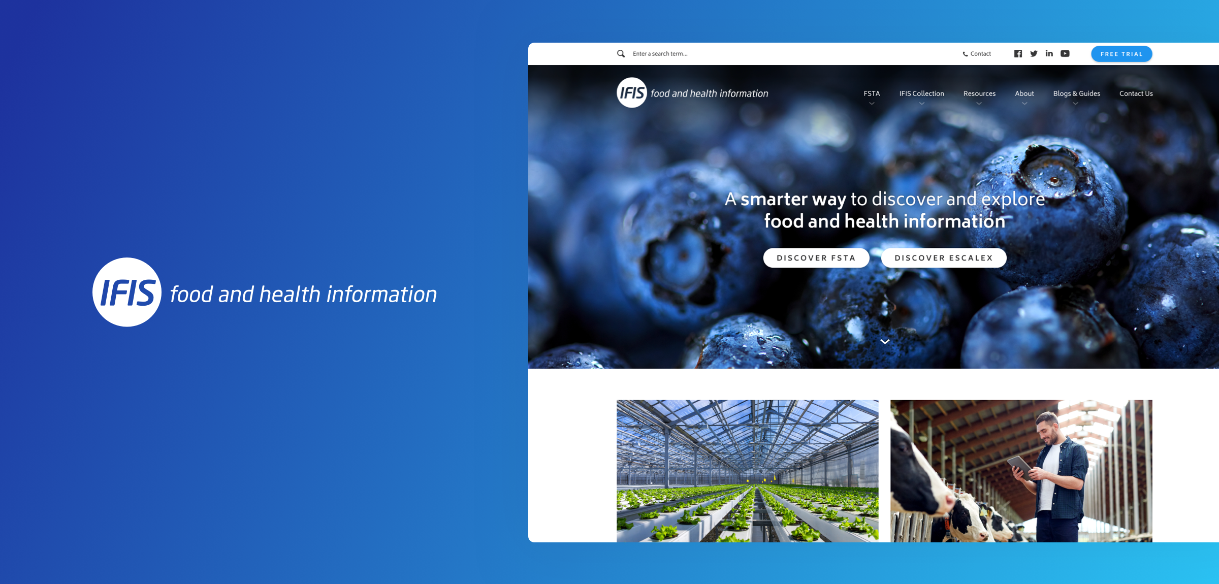 IFIS | Inbound Marketing Case Study