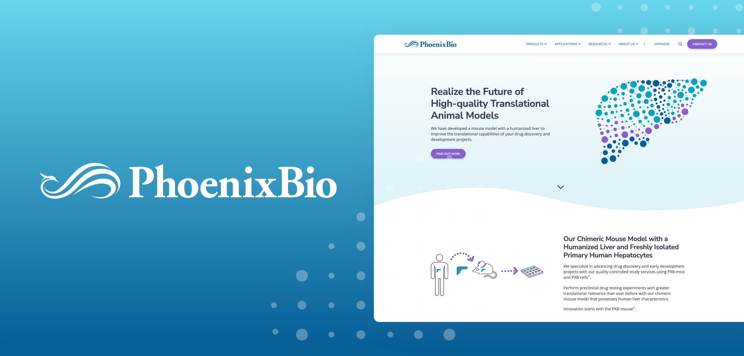 Phoenix Bio Website | Blend